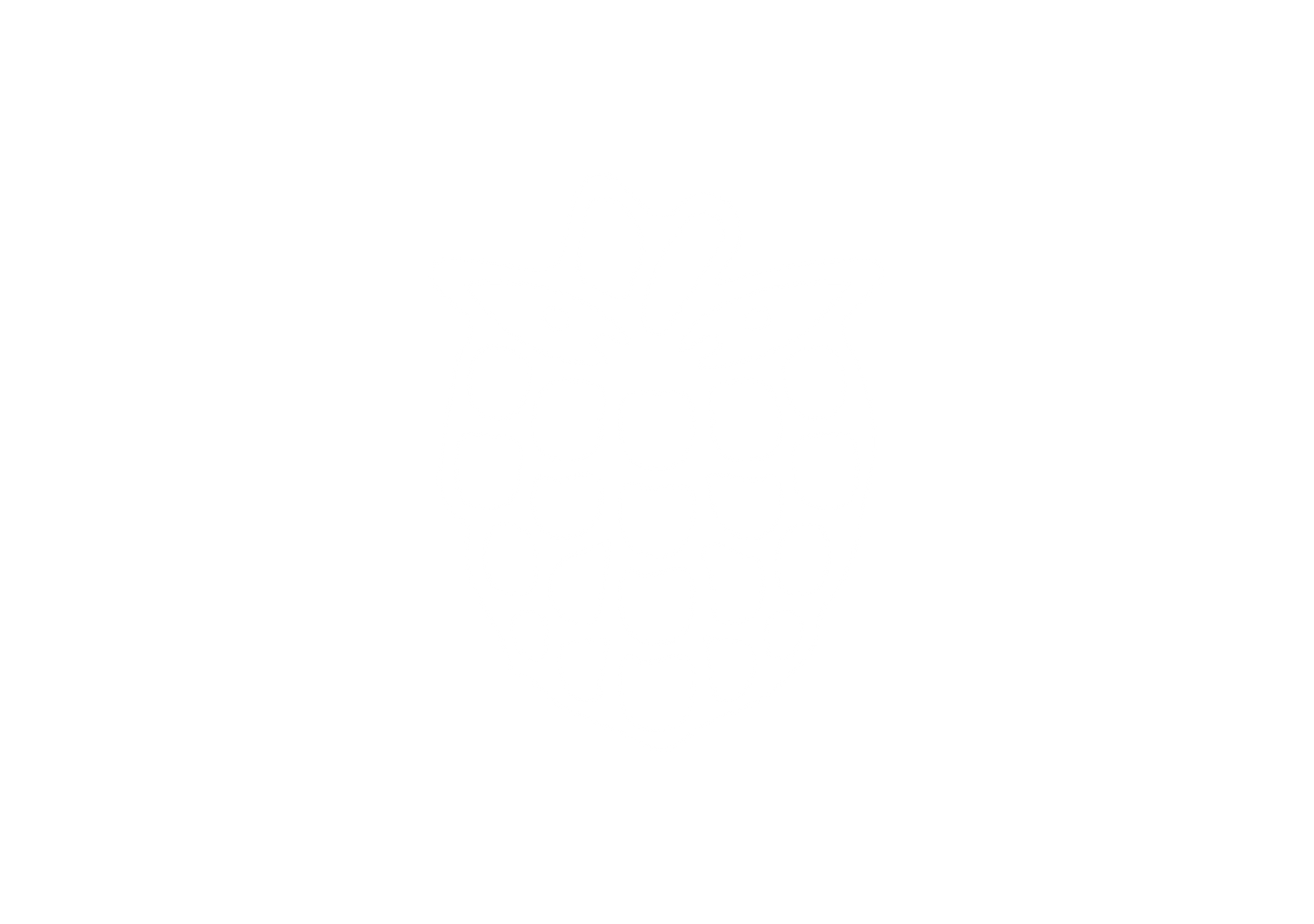 Bomberry | Frozen raspberries dipped in Belgian chocolate